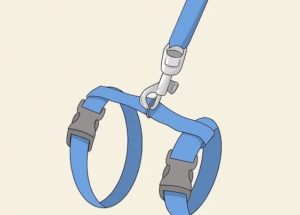 Make your own cool DIY Harness for Ferrets - DIY Ferret