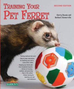 Basic Anatomy of a Ferret -Exotic Features of Ferret Anatomy